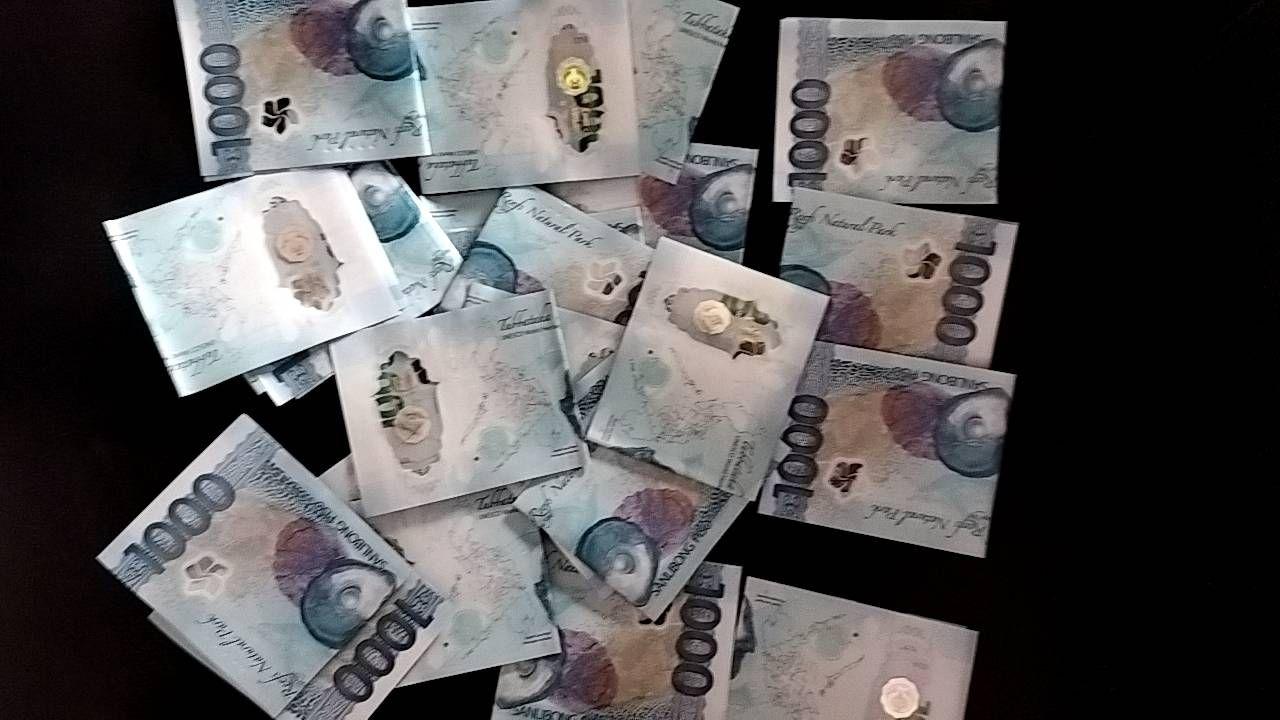 No.91470 ないよ。フィリピンのお札しかな… - NTN(株)【6472】の掲示板 2025/02/05〜2025/02/27 - 株式掲示板 - Yahoo!ファイナンス