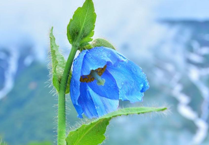 No.155793 ameさんへ^ ^ - 自称画伯の掲示板 - 株式掲示板 - Yahoo!ファイナンス