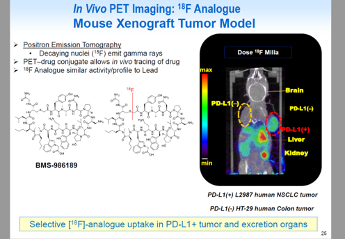 No.154167 PD-L1発現を調べるのに使え… - ペプチドリーム(株)【4587】の掲示板 2018/02/15〜2018/02/23 ...