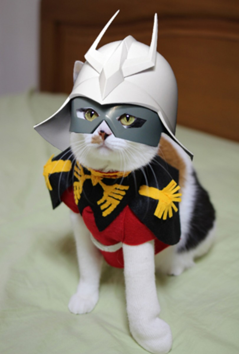 No.624248 もしかしてNINJA観るんです… - (株)フォーサイド【2330】の掲示板 2025/02/09〜2025/02/14 - 株式掲示板 - Yahoo!ファイナンス