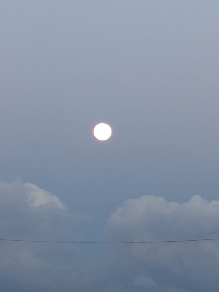 No.674189 みなさんおはようございます。 … - (株)エス・サイエンス【5721】の掲示板 2025/11/06〜 - 株式掲示板 - Yahoo!ファイナンス