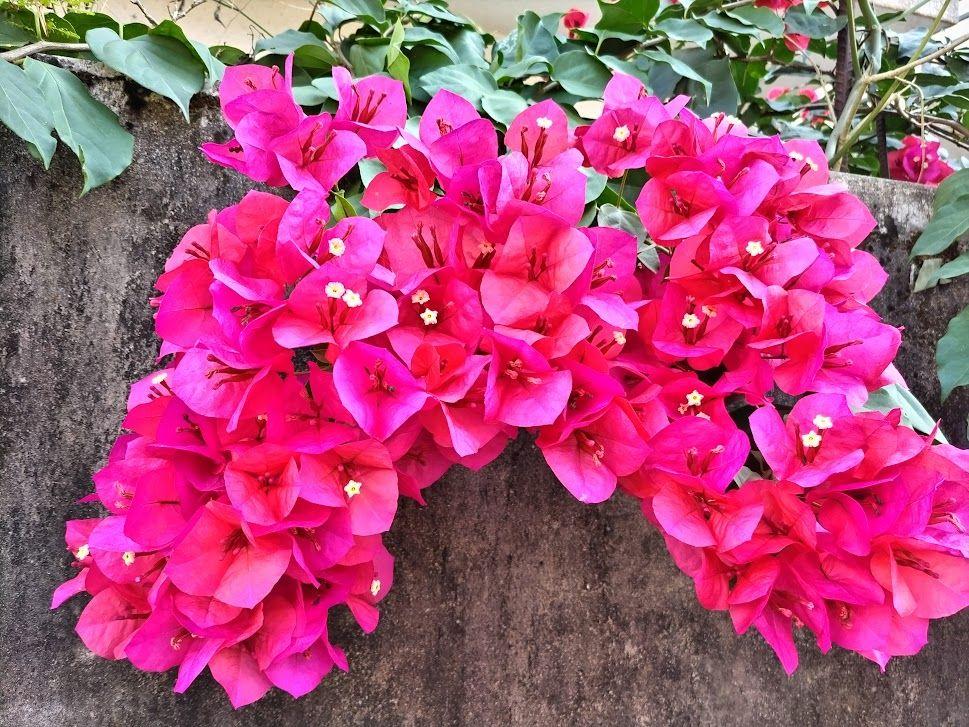 No.860069 4699の壁を破って4700台… - 三菱重工業(株)【7011】の掲示板 2025/12/23〜 - 株式掲示板 ...