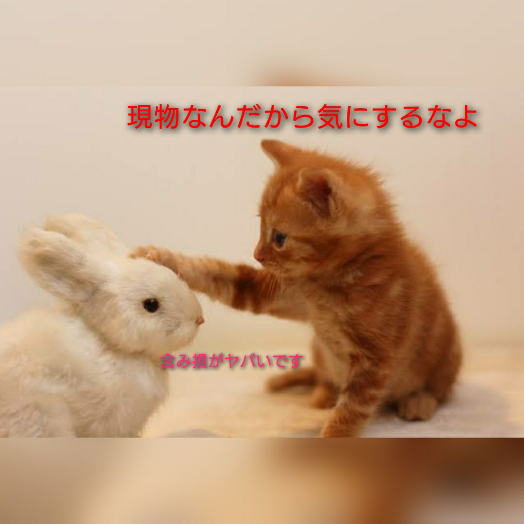 No.486668 自己資本 1兆9… - 日本郵船(株)【9101】の掲示板 2022/09/30 - 株式掲示板 - Yahoo!ファイナンス