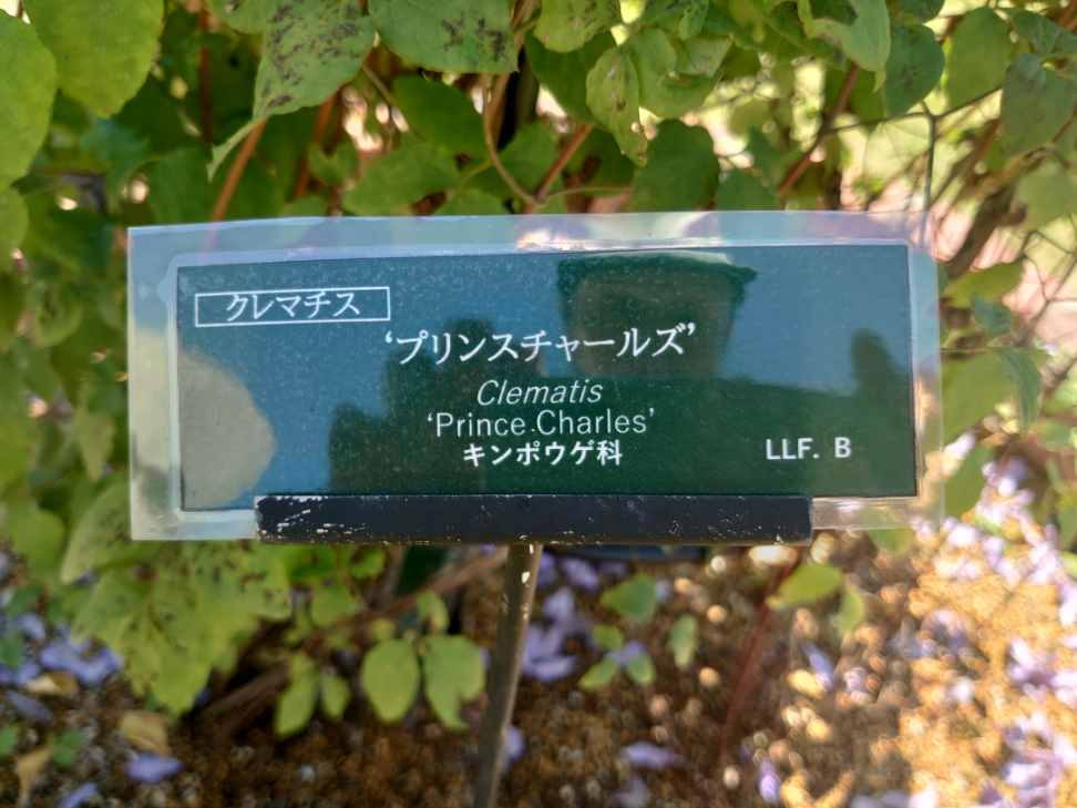 No.724114 ☺ - ラクオリア創薬(株)【4579】の掲示板 2024/05/29〜2024/06/23 - 株式掲示板 - Yahoo!ファイナンス