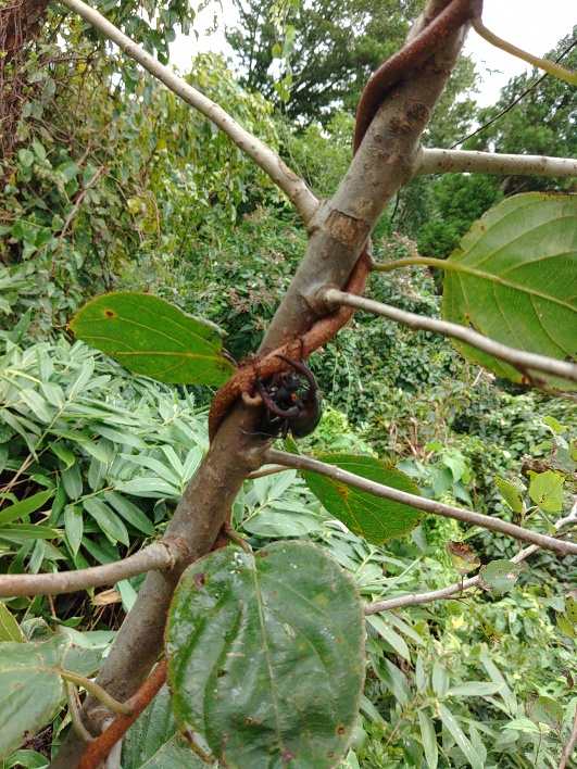 No.297591 、 - KOZOホールディングス(株)【9973】の掲示板 2024/07/19〜2024/08/05 - 株式掲示板 - Yahoo!ファイナンス