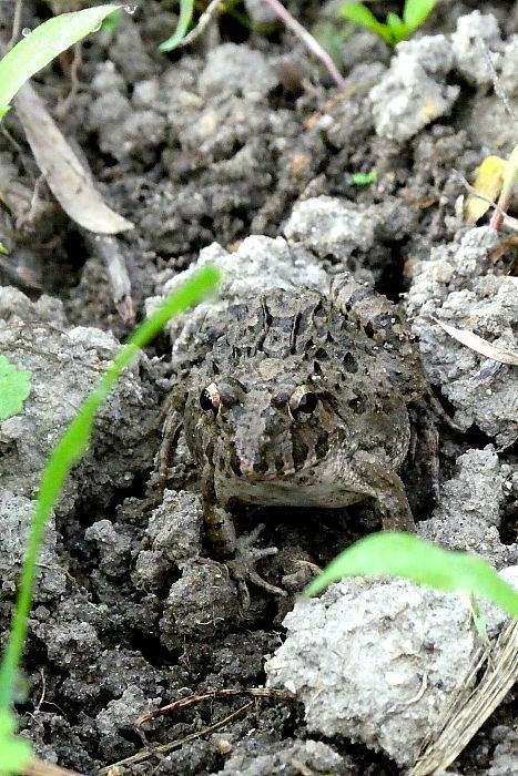 No.5526 気温18度の薄曇りの日曜日の朝… - 70歳代のバソコンの掲示板 - FX、為替掲示板 - Yahoo!ファイナンス