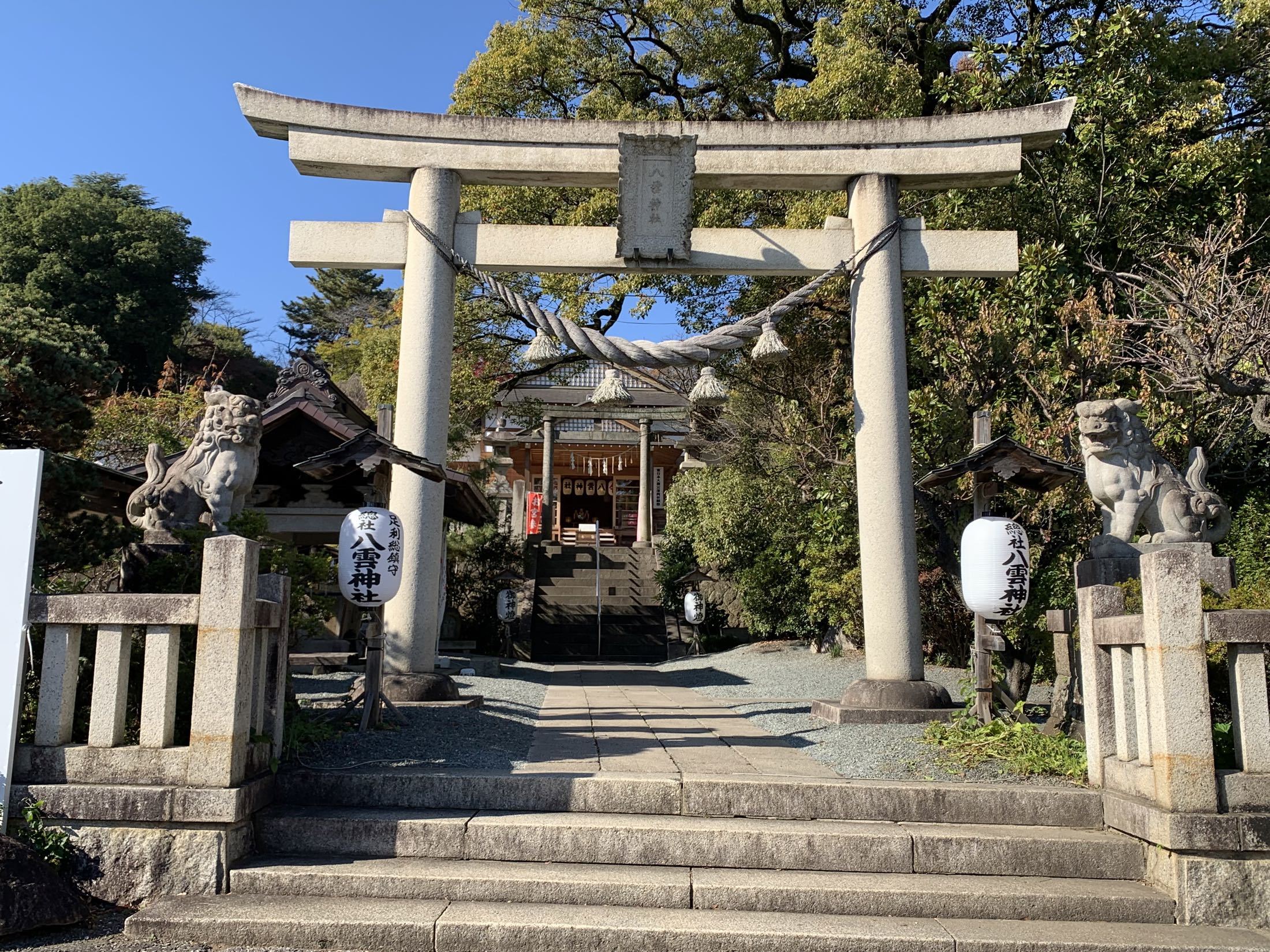 No.403456 2914 地上の楽園 JCたば… - JT【2914】の掲示板 2023/11/17〜2023/11/22 - 株式掲示板 - Yahoo!ファイナンス