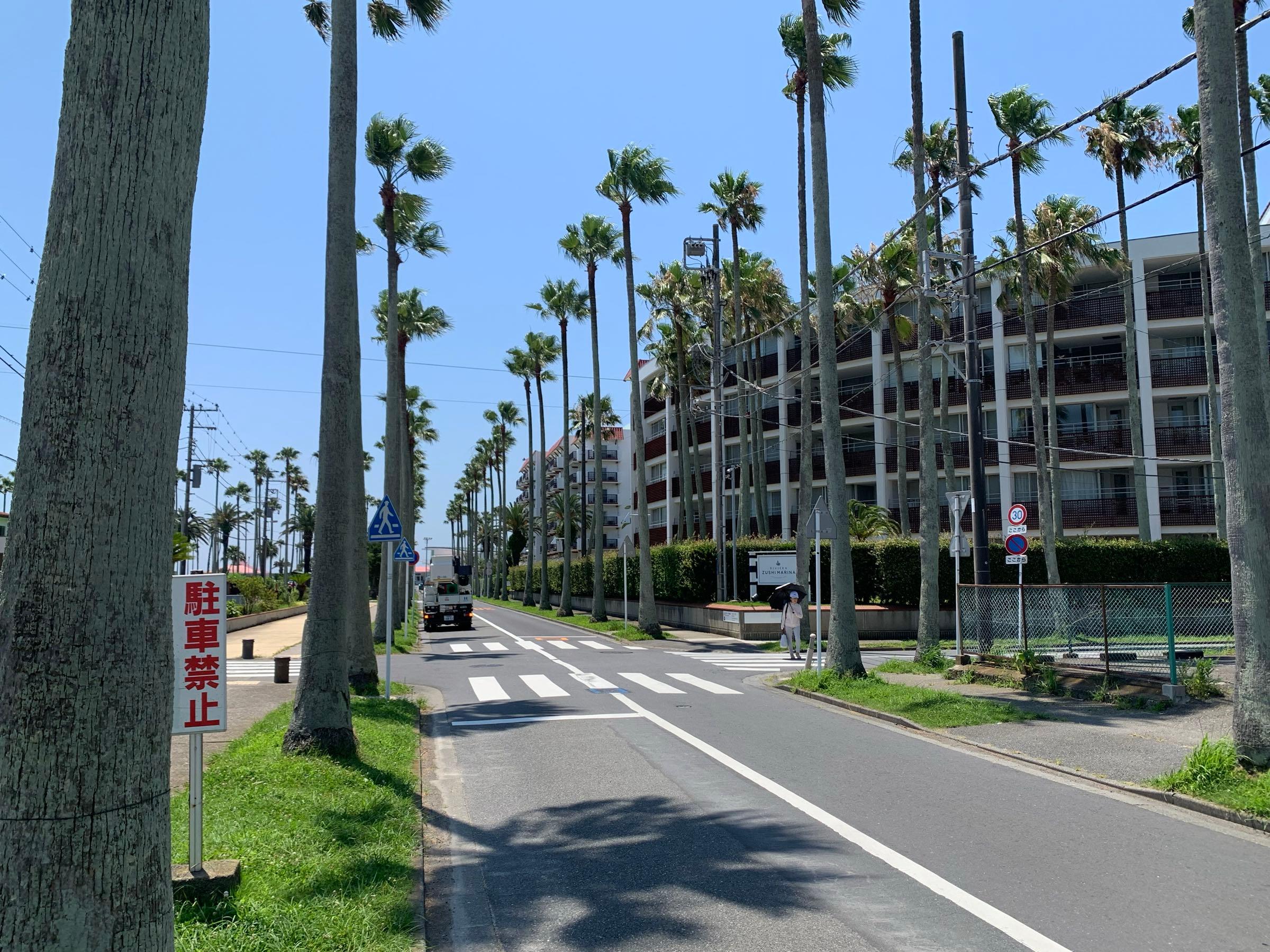 No.451456 2914 JSたばこギバーおぢ… - JT【2914】の掲示板 2024/07/23〜2024/07/29 - 株式掲示板 - Yahoo!ファイナンス