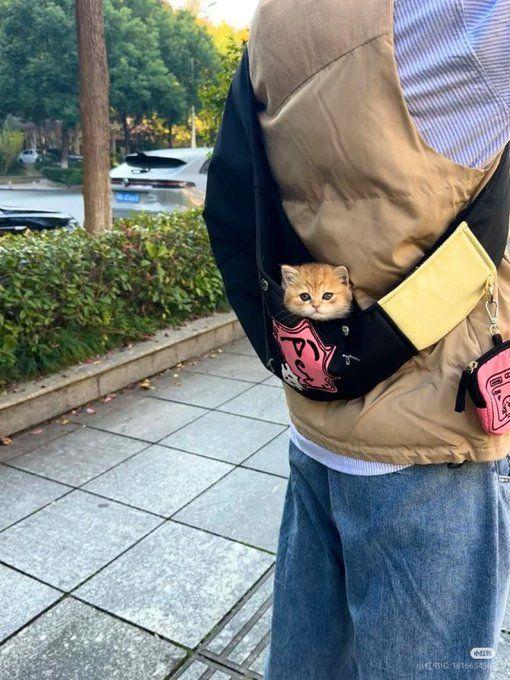 No.120997 おつかれさま～( ^^) - バベルの塔の掲示板 - 株式掲示板 - Yahoo!ファイナンス