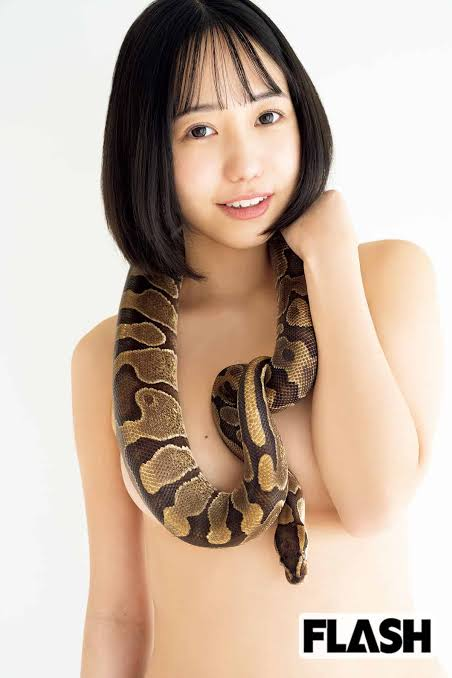 No.2942 へび年 - なまこのカラオケルームの掲示板 - 株式掲示板 - Yahoo!ファイナンス