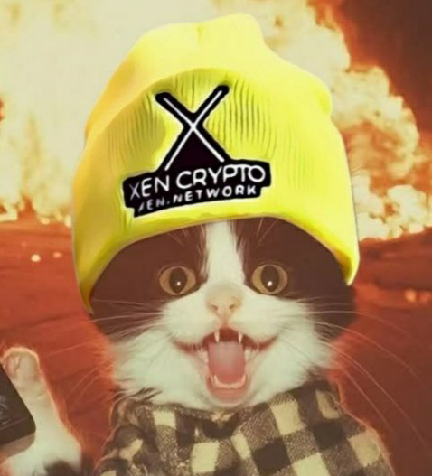 No.203611 ファイナルアンサー - GFA(株)【8783】の掲示板 2025/02/13〜2025/02/14 - 株式掲示板 - Yahoo!ファイナンス