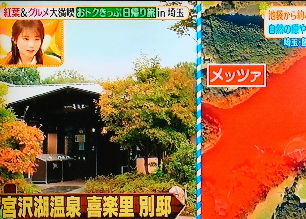 No.1005761 やってますね 🌲 - フィンテック グローバル(株)【8789】の掲示板 2024/11/09〜2024/11/29 ...