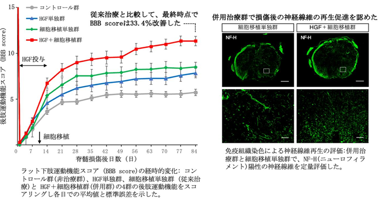 No.49120 期待から確信に変ったホルダー多… - クリングルファーマ(株)【4884】の掲示板 2025/02/12〜2025/04/07 - 株式掲示板 - Yahoo!ファイナンス