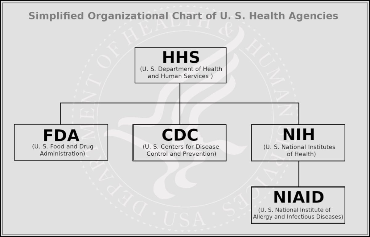 No.3856184 FDAの位置 - アンジェス(株)【4563】の掲示板 2025/02/08〜2025/02/14 - 株式掲示板 - Yahoo!ファイナンス