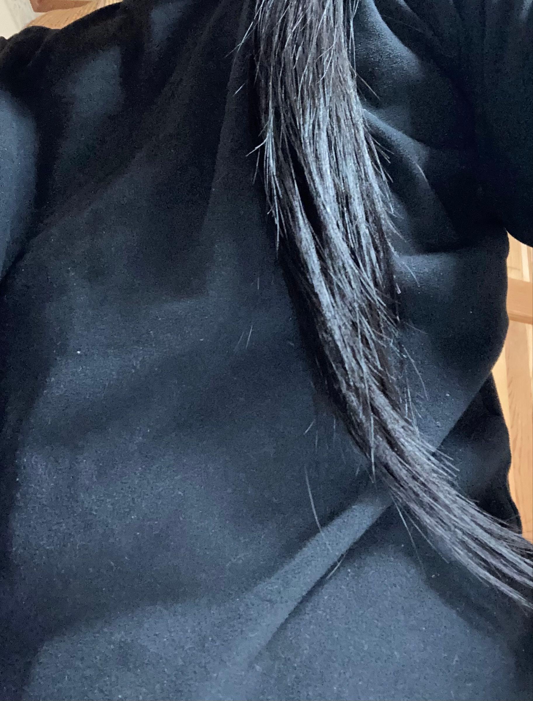 No.1707272 23歳なのでまだ大丈夫ですね … - (株)メタプラネット【3350】の掲示板 2025/07/24 - 株式掲示板 ...